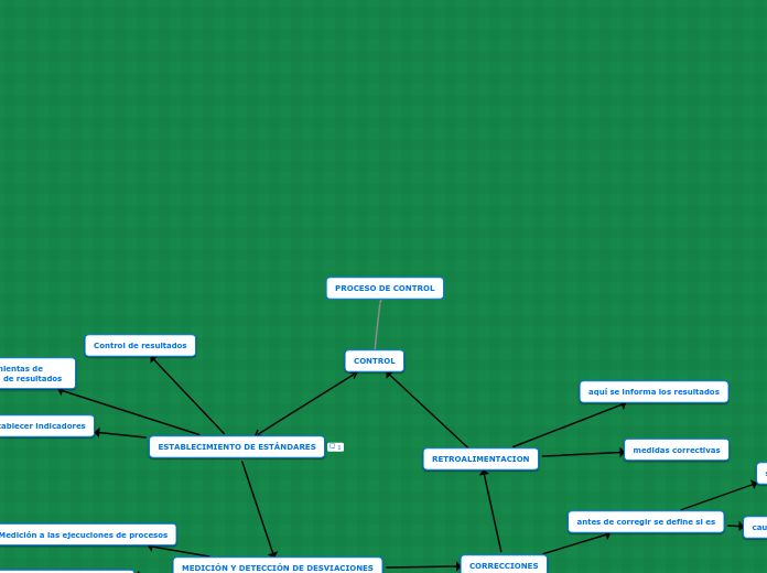 PROCESO DE CONTROL - Mind Map